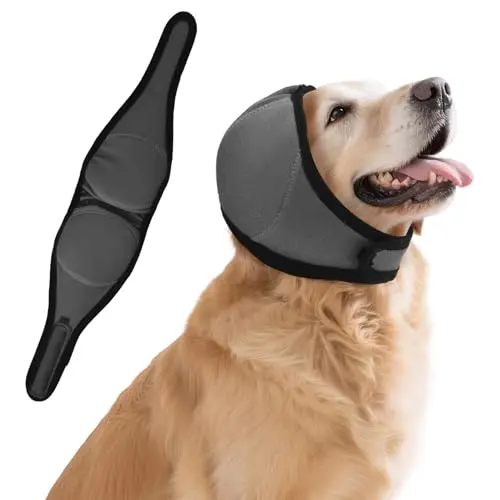 Best Dog Ear Plugs for Swimming - 2026 Reviews - Serenity Boutique Houses