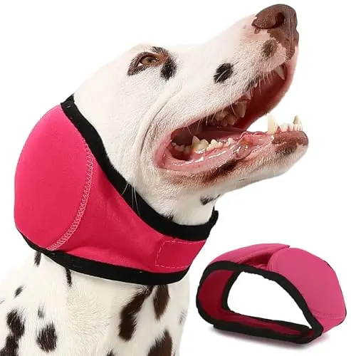 Best Dog Ear Plugs for Swimming - 2026 Reviews - Serenity Boutique Houses
